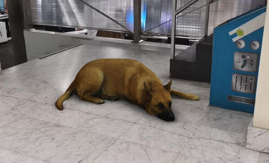 “Sasha Dog”, el filtro hiperrealista de Instagram que es furor entre ...